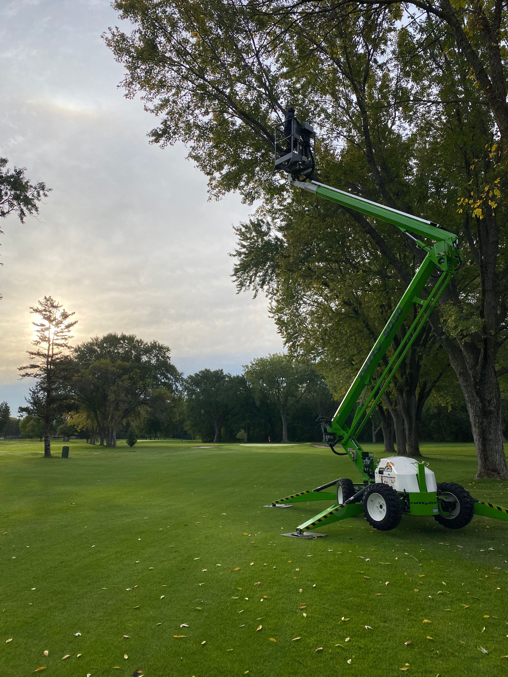 Tree Care Gallery | Minneapolis, MN | Arbor Tree Service