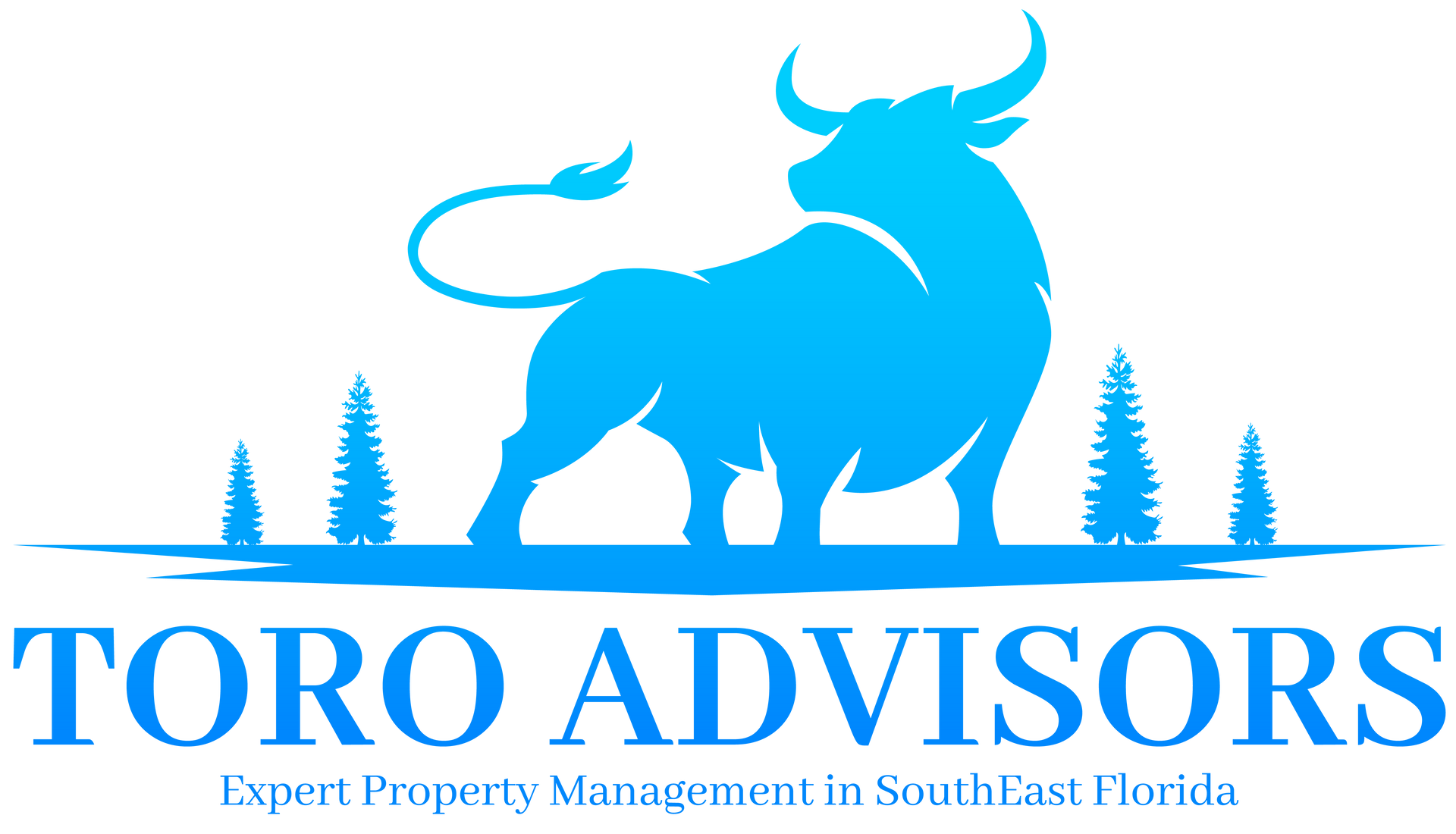 Home [www.toroadvisors.us]