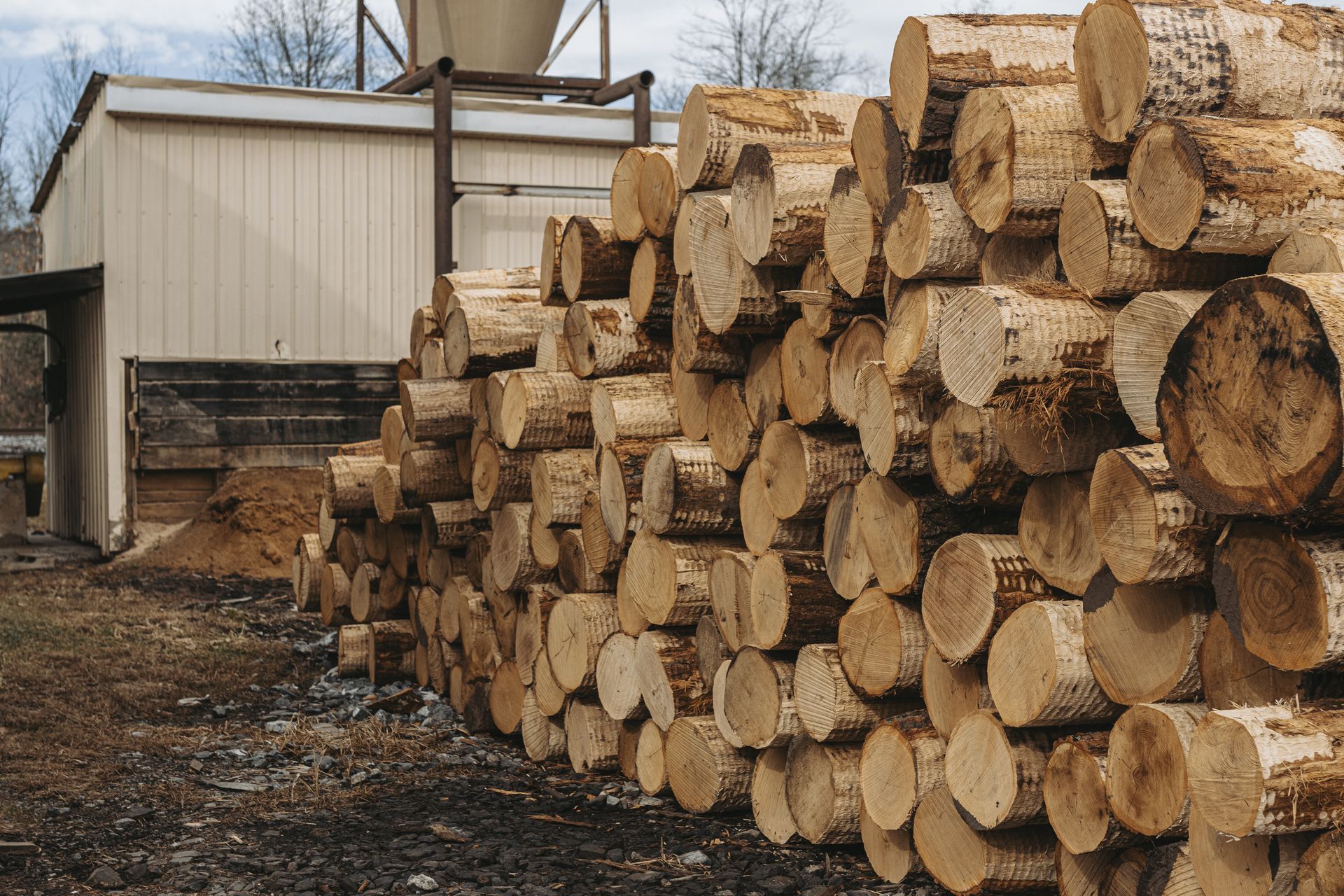 Superior Lumber | Logging & Lumber Solutions