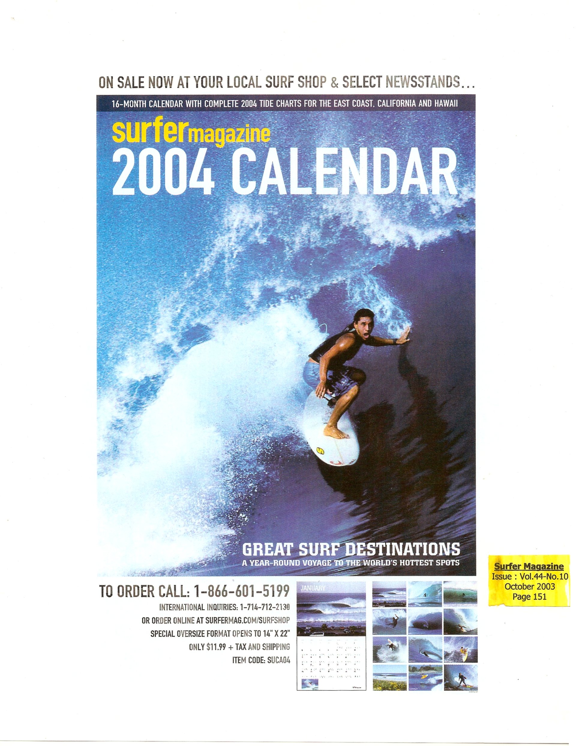 Meet Your Instructors | Oahu Surf Lessons