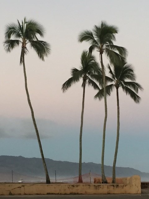 Free and fun things to do on Oahu