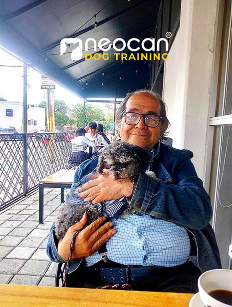 Centro de adiestramiento canino en Puebla