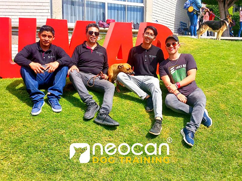 Centro de adiestramiento canino en Puebla