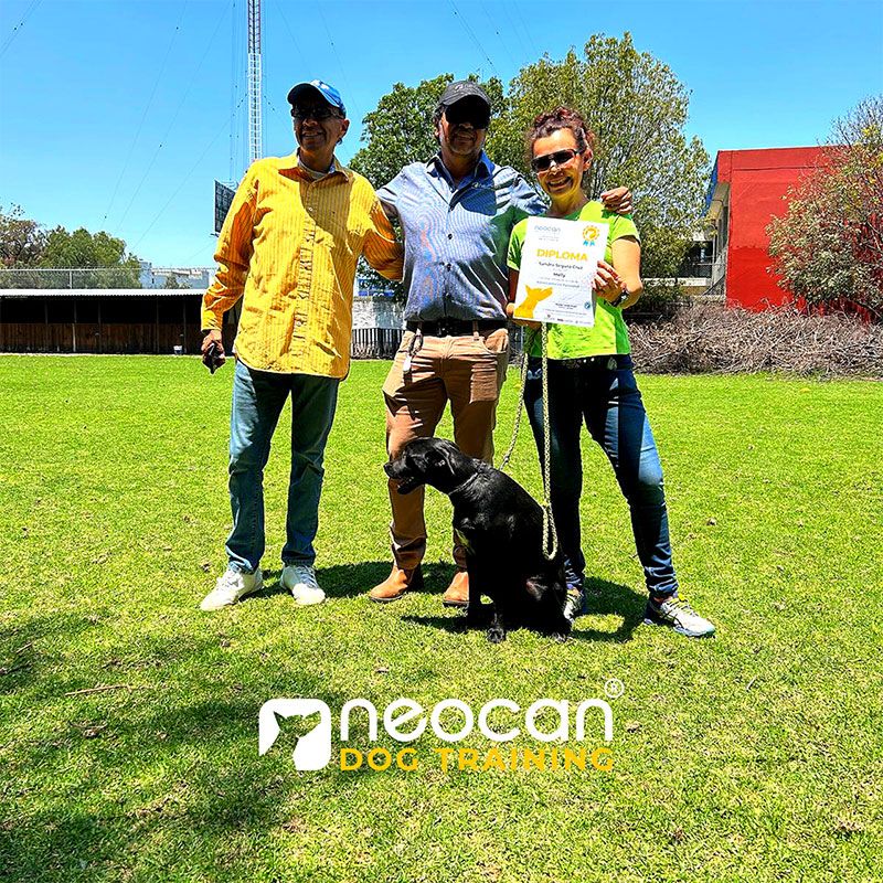 Centro de adiestramiento canino en Puebla