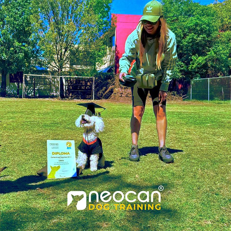 Centro de adiestramiento canino en Puebla