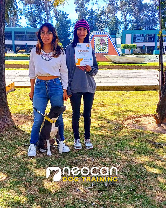 Centro de adiestramiento canino en Puebla