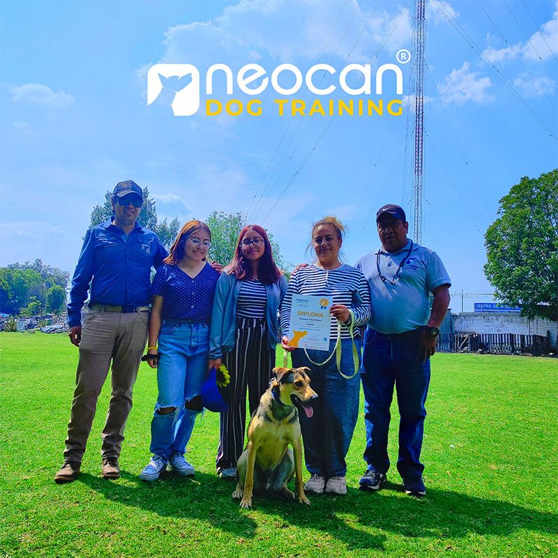 Centro de adiestramiento canino en Puebla