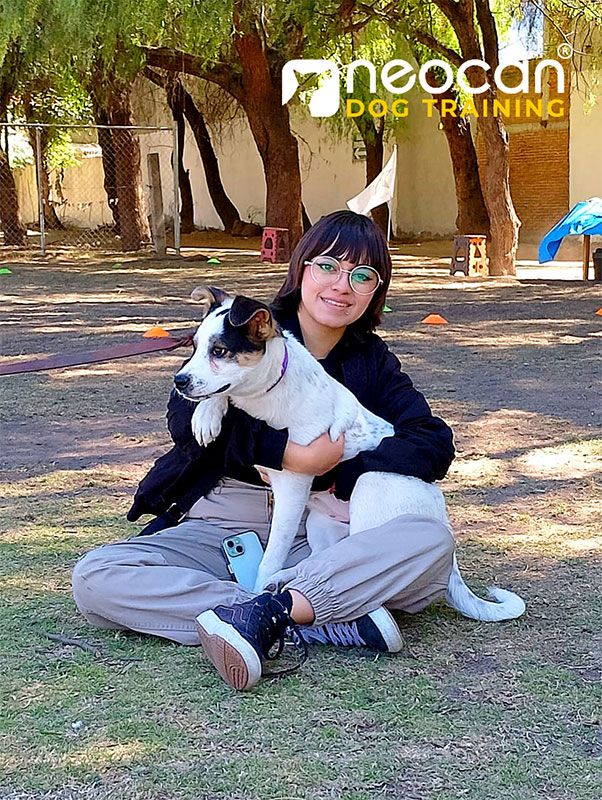 Centro de adiestramiento canino en Puebla