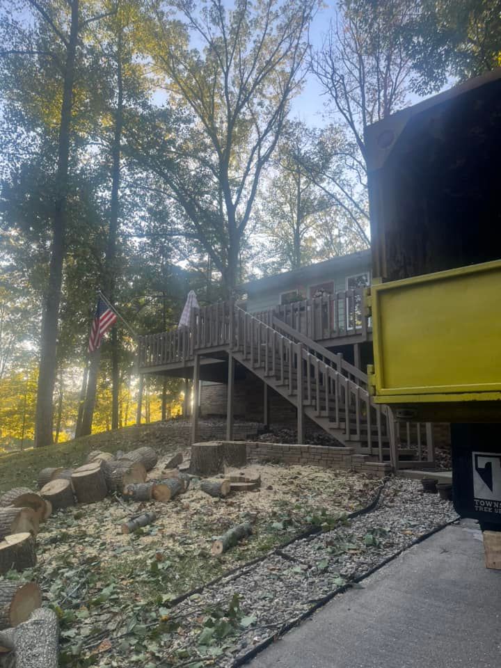 Tree Removal | Homestead Tree Service