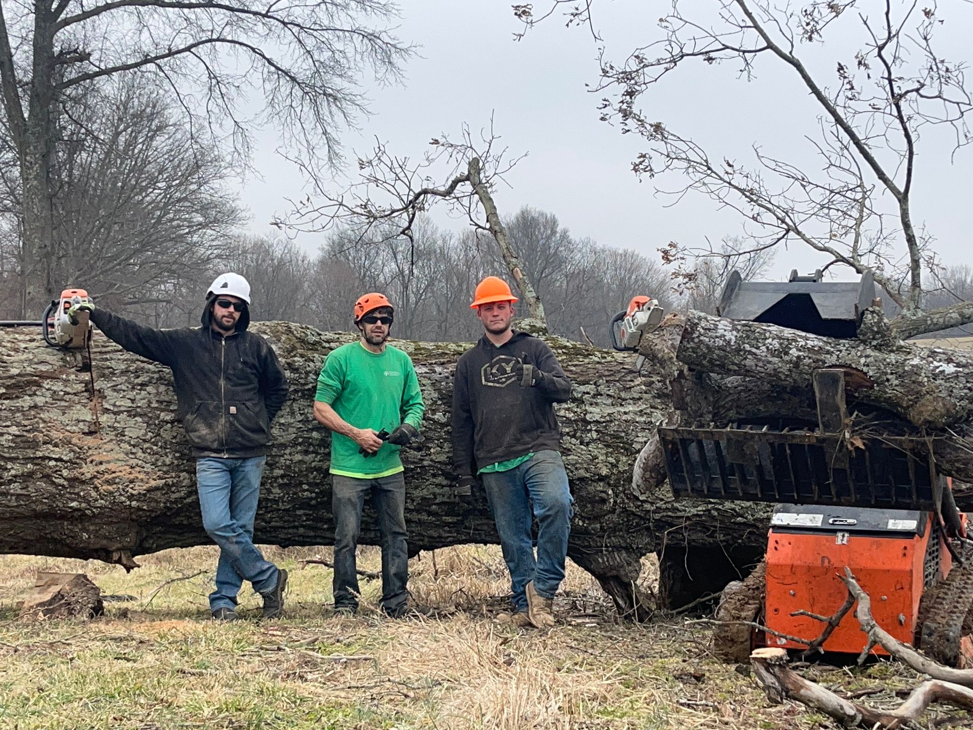 Gallery | Homestead Tree Service