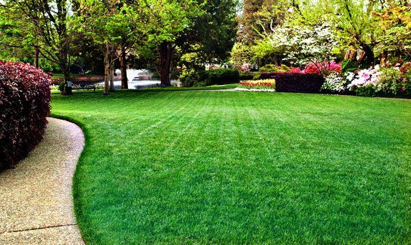 Why Aerating Your Lawn Is the Secret to a Healthier Yard