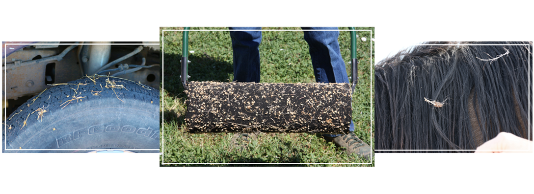 Tired of stickers and sandburs? Check out the Sticker Picker!