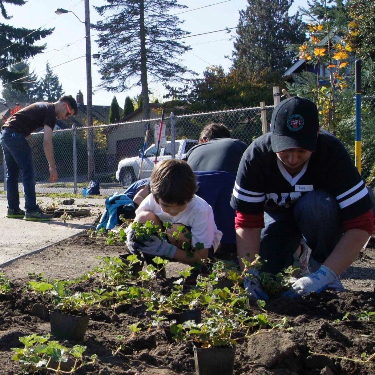Donate | The Montessori School of Englewood | West Englewood, Chicago