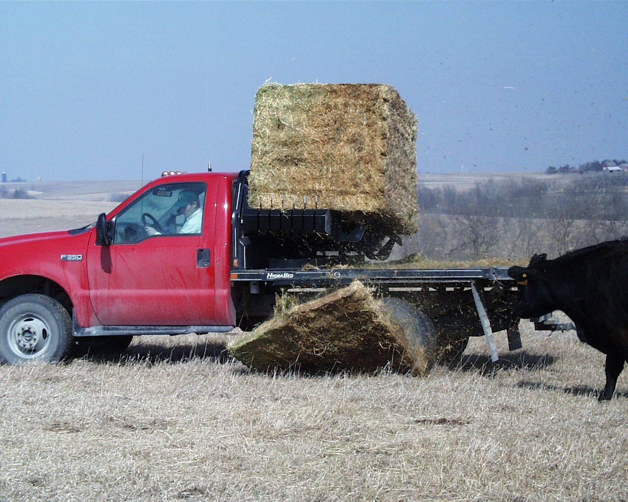 HydraBed® & Reellift by Triple C, Inc. | HYDRAFLKR™