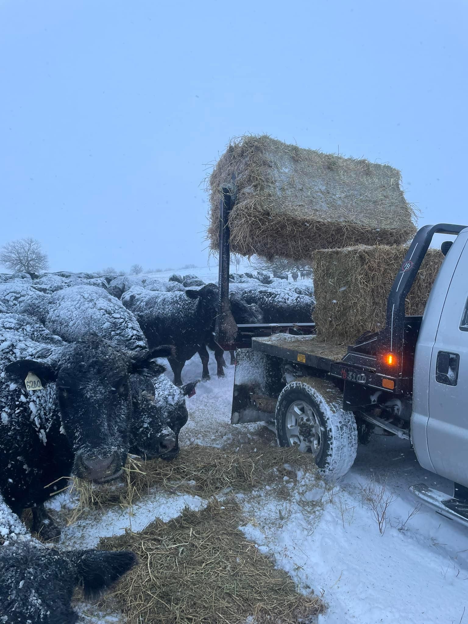 HydraBed & RL Series HydraBed by Triple C, Inc. | Hydraulic Bale Bed