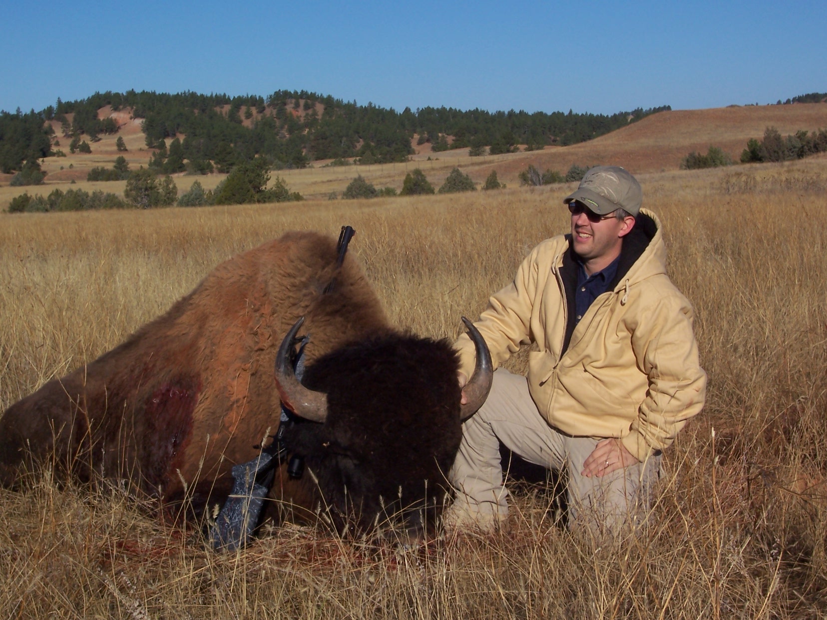 Buffalo hunting, South Dakota, Guided Bison hunt in South Dakota