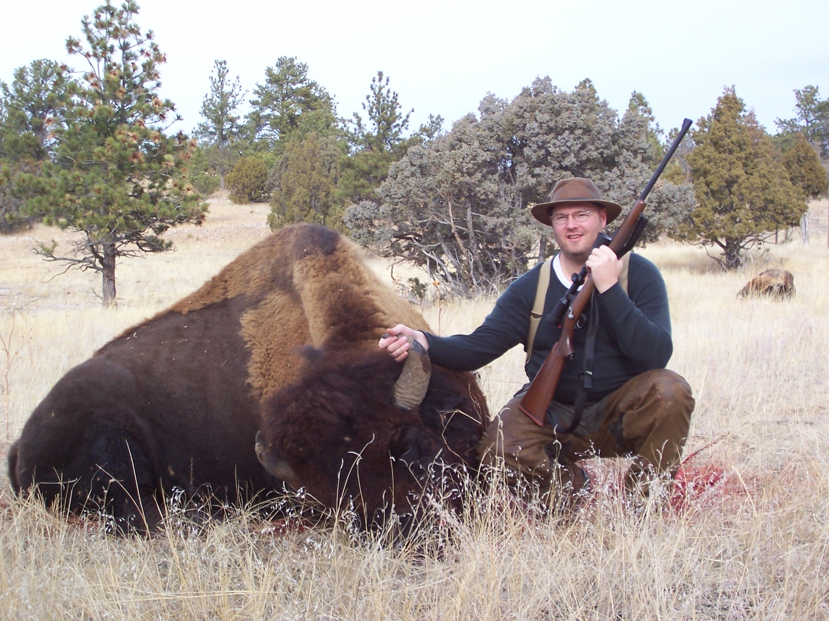 Buffalo hunting, South Dakota, Guided Bison hunt in South Dakota