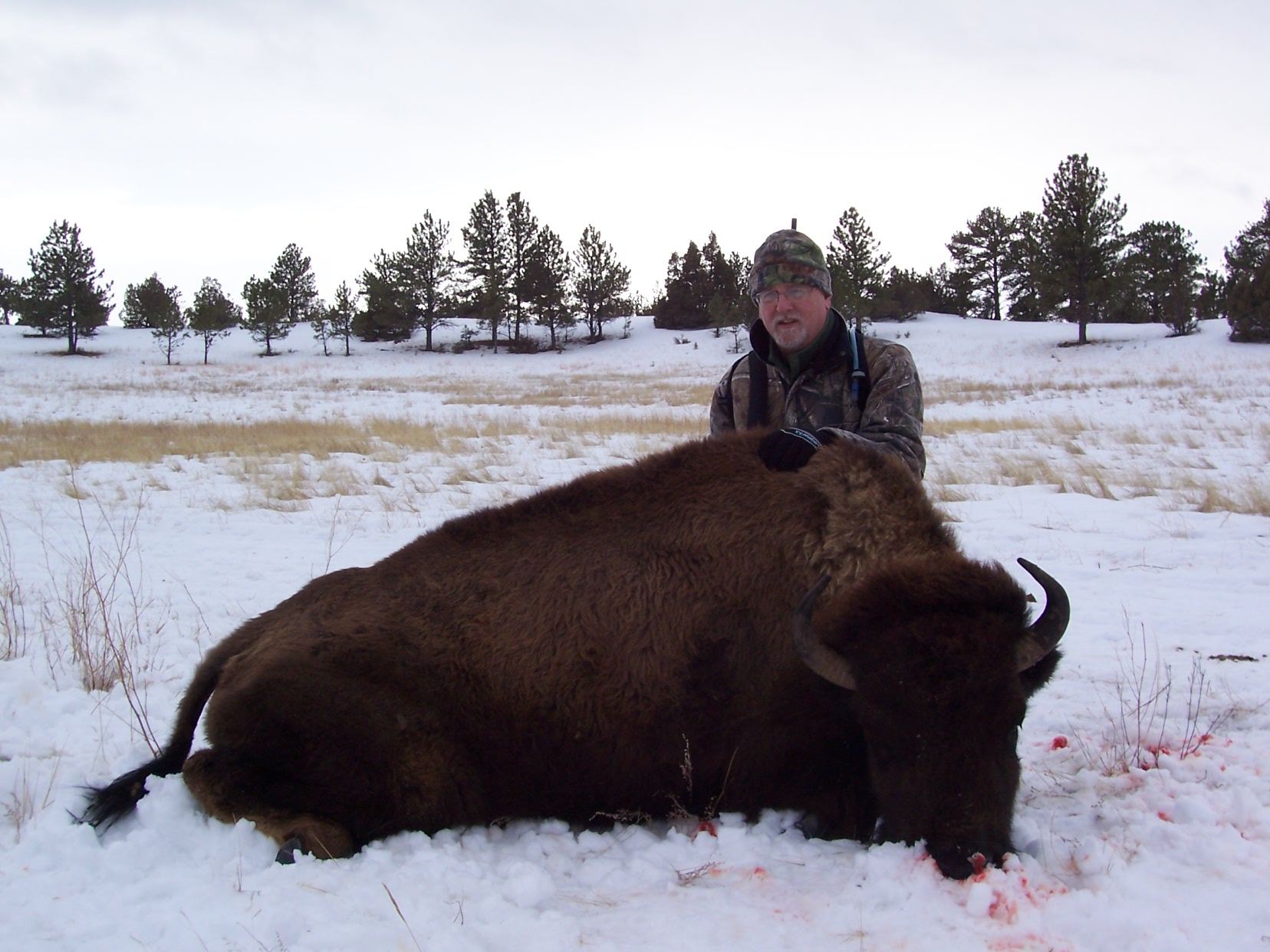 Buffalo hunting, South Dakota, Guided Bison hunt in South Dakota