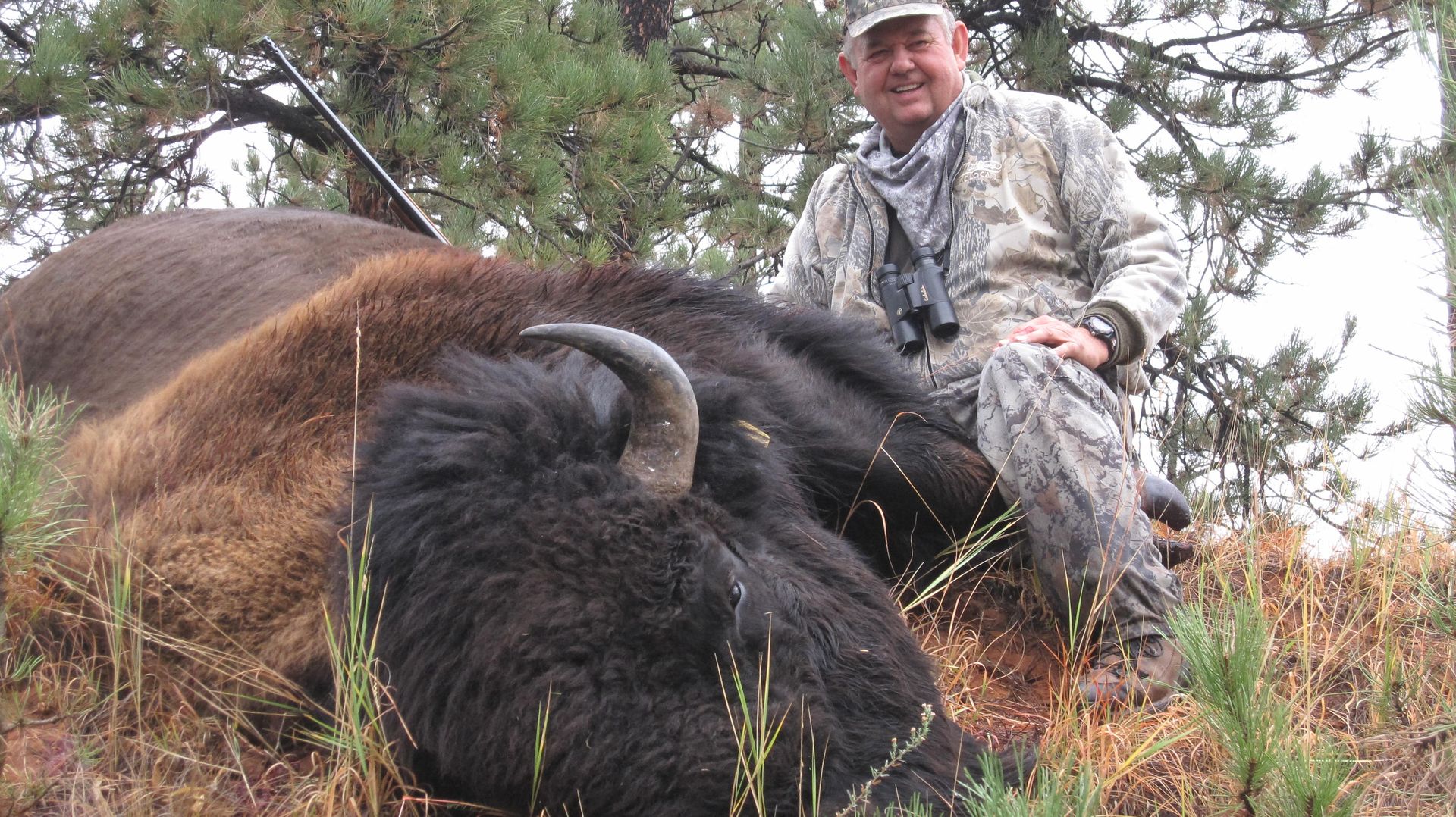 Buffalo hunting, South Dakota, Guided Bison hunt in South Dakota