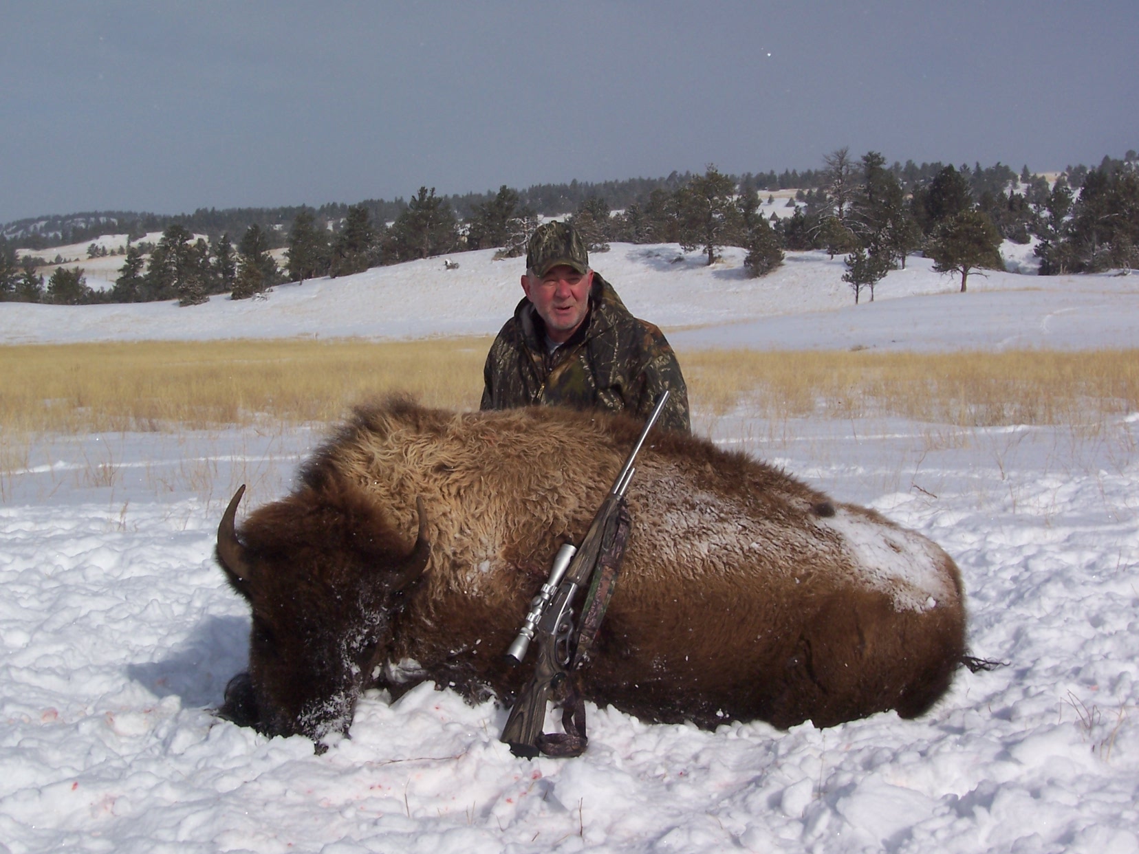 Buffalo hunting, South Dakota, Guided Bison hunt in South Dakota