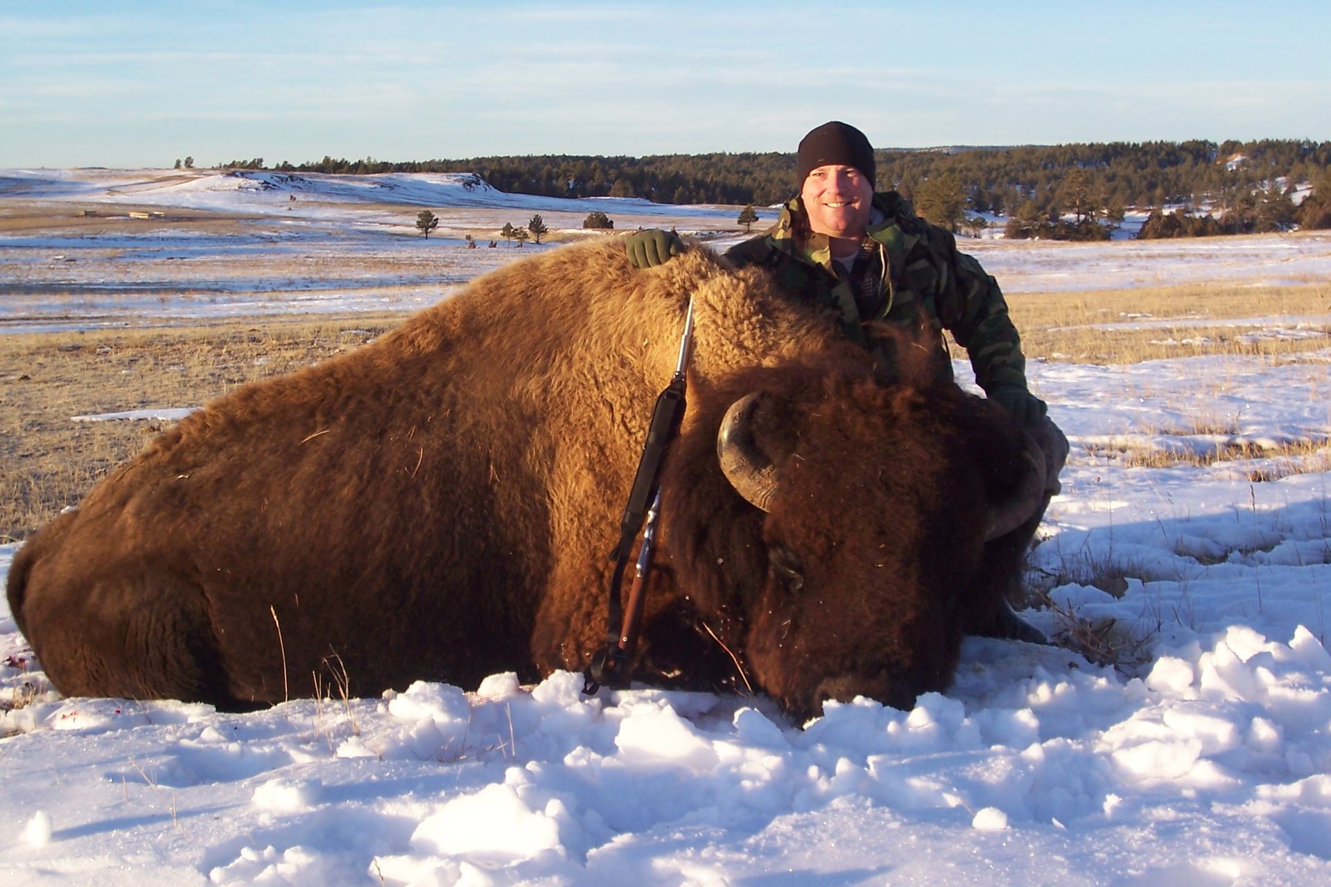 Buffalo hunting, South Dakota, Guided Bison hunt in South Dakota