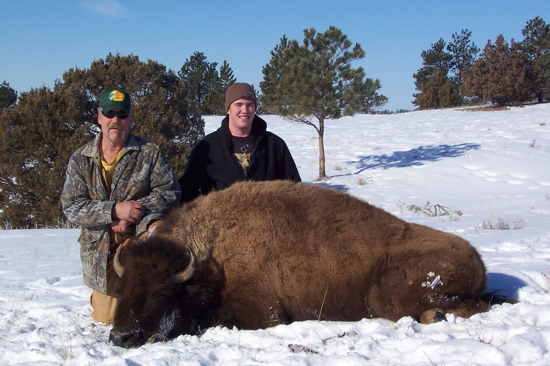 Buffalo hunting, South Dakota, Guided Bison hunt in South Dakota