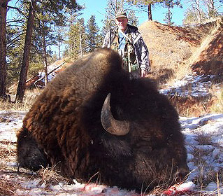 Buffalo hunting, South Dakota, Guided Bison hunt in South Dakota