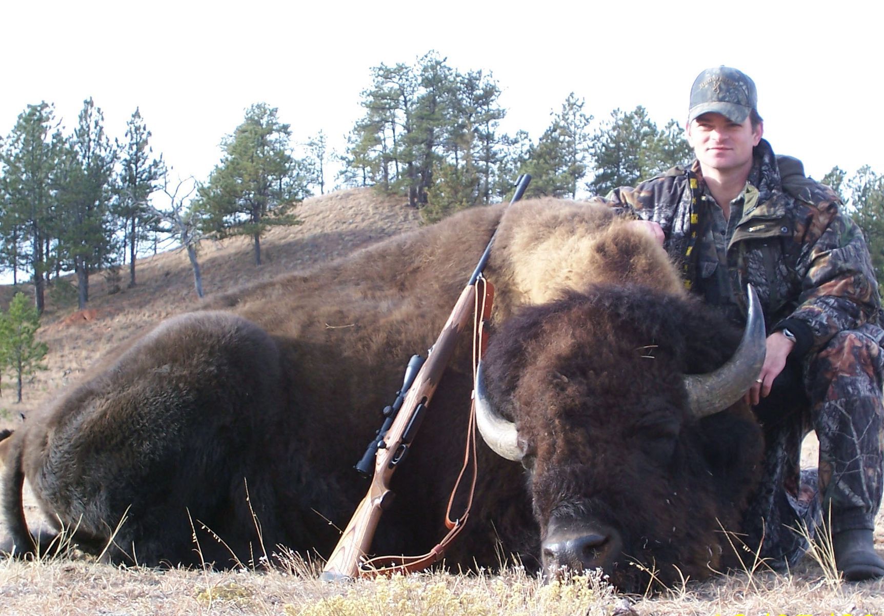 Buffalo hunting, South Dakota, Guided Bison hunt in South Dakota