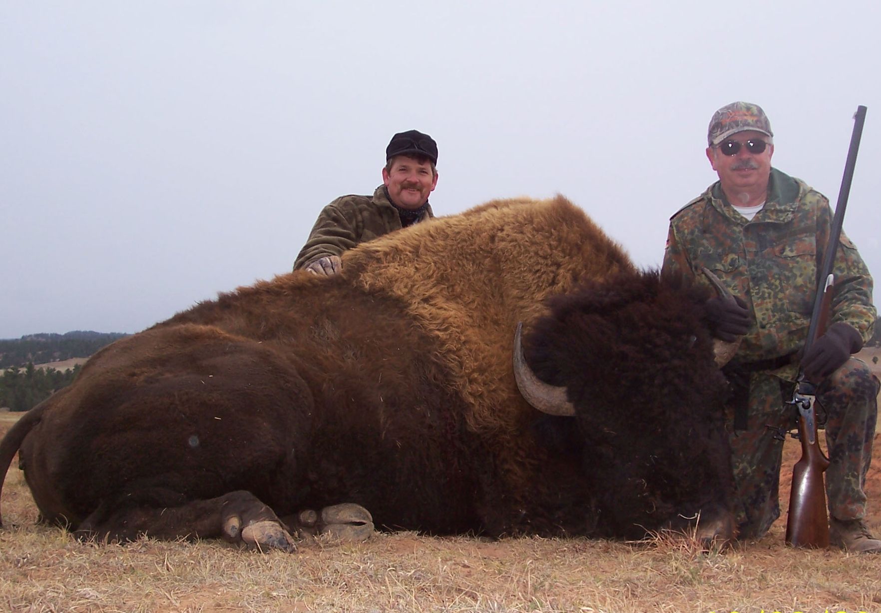 Buffalo hunting, South Dakota, Guided Bison hunt in South Dakota