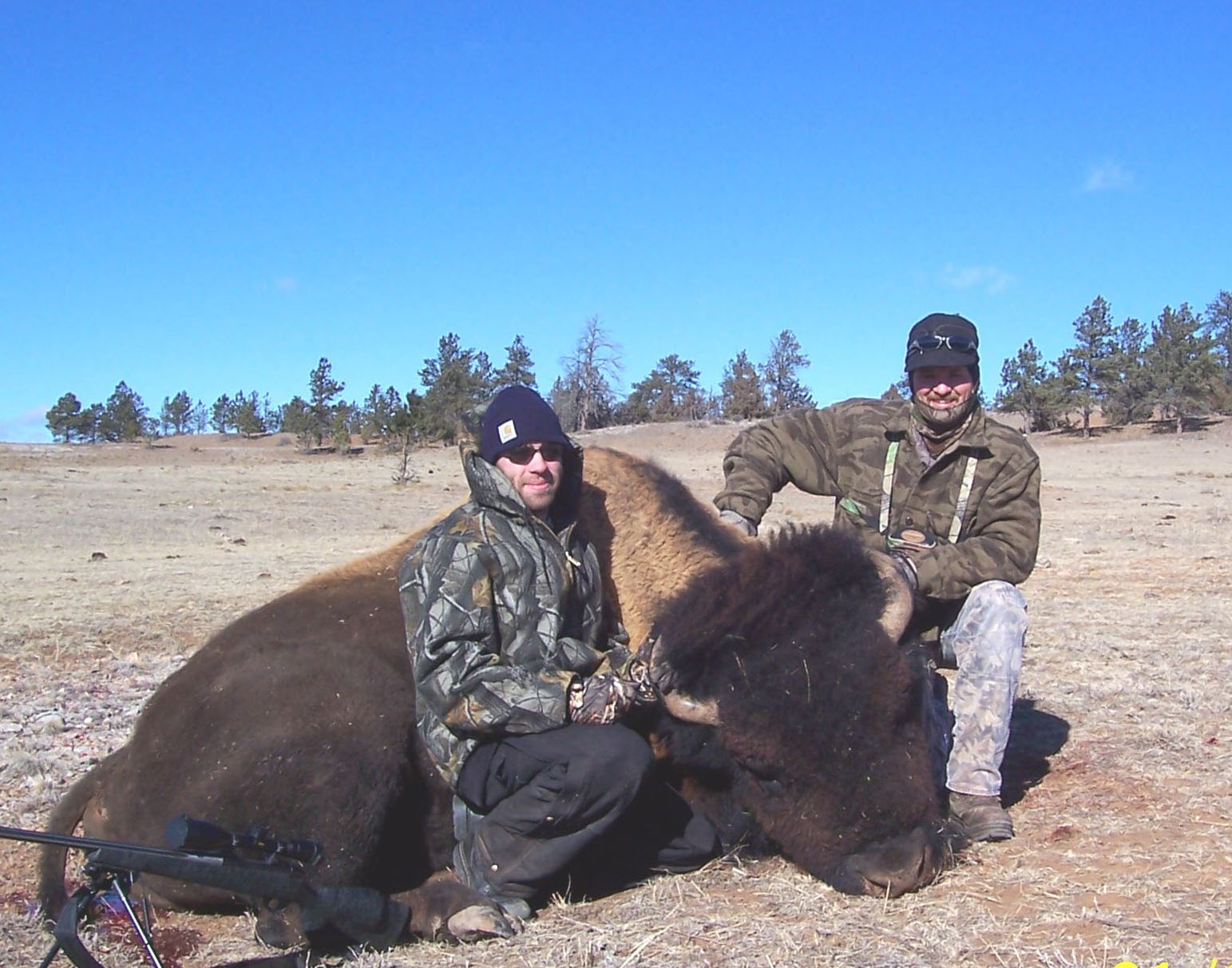 Buffalo hunting, South Dakota, Guided Bison hunt in South Dakota