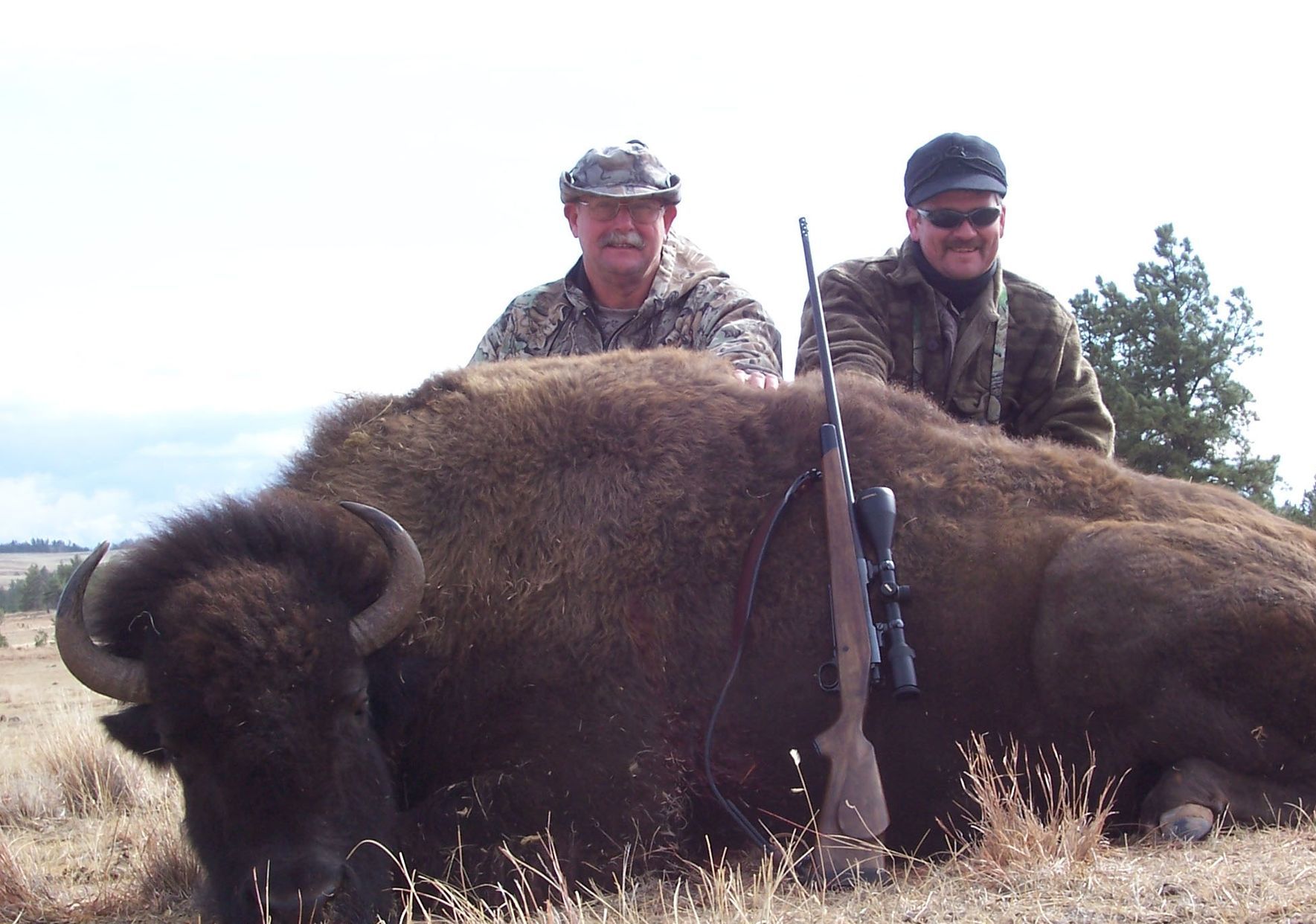 Buffalo hunting, South Dakota, Guided Bison hunt in South Dakota