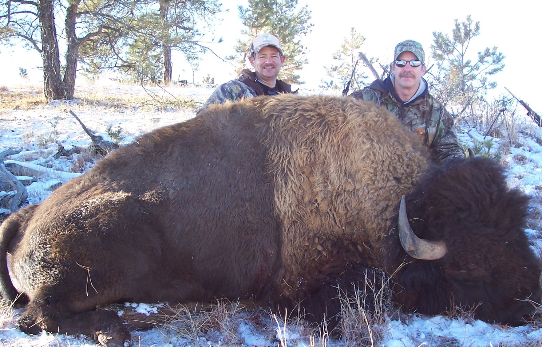 Buffalo hunting, South Dakota, Guided Bison hunt in South Dakota