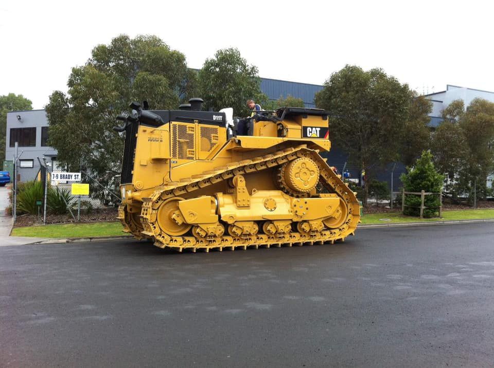 Plant Maintenance in Southern Highlands | Buckley’s Plant Maintenance