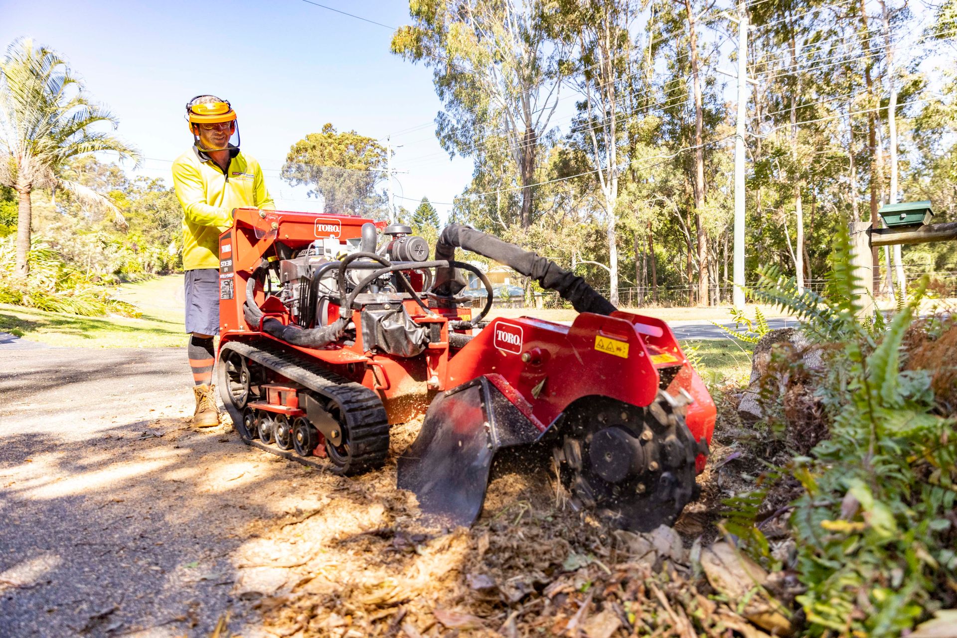 Stump Grinding Deception Bay | ASAP Stump Grinding