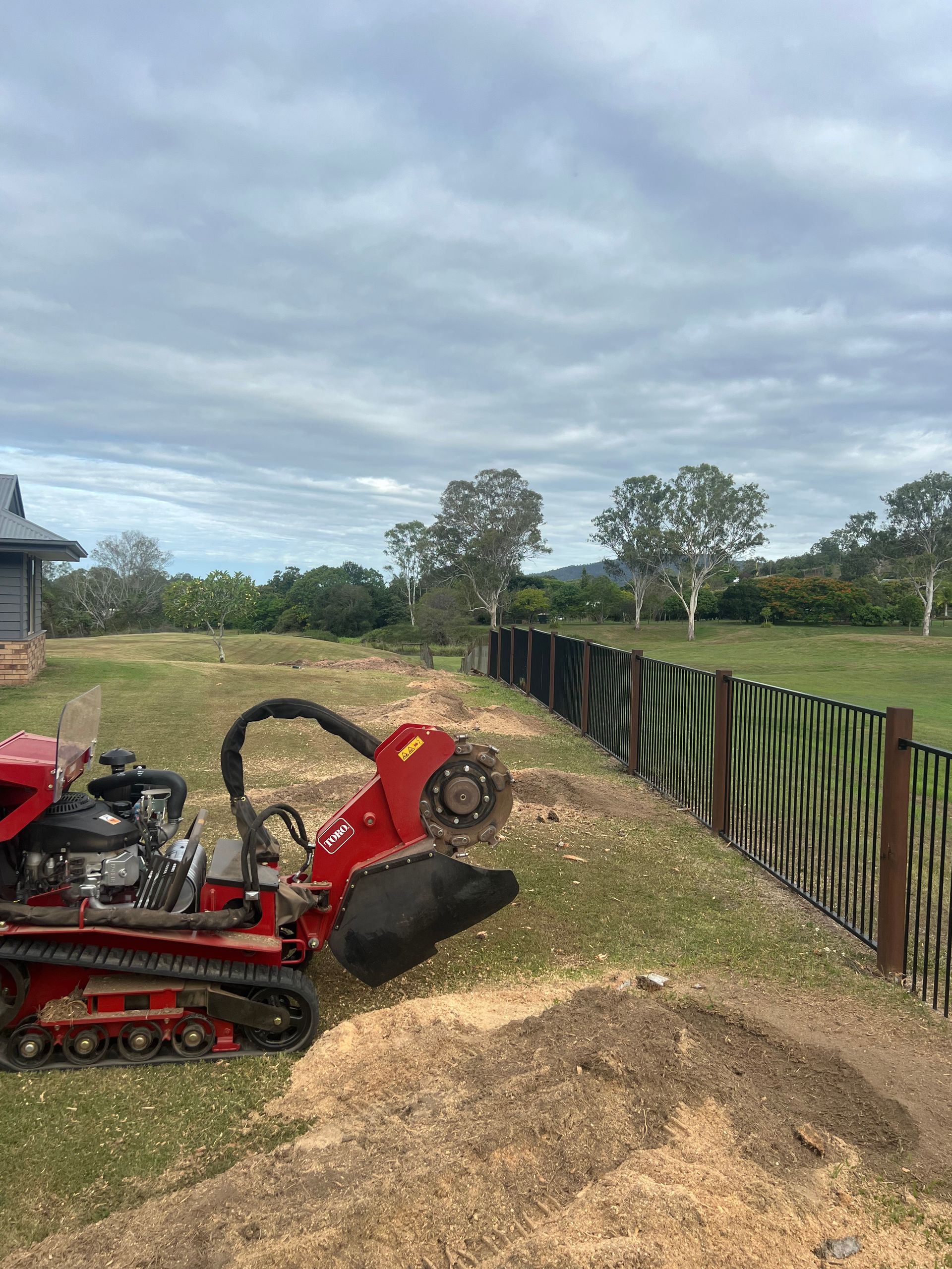 Exciting Stump Grinding Projects | Before and After Results