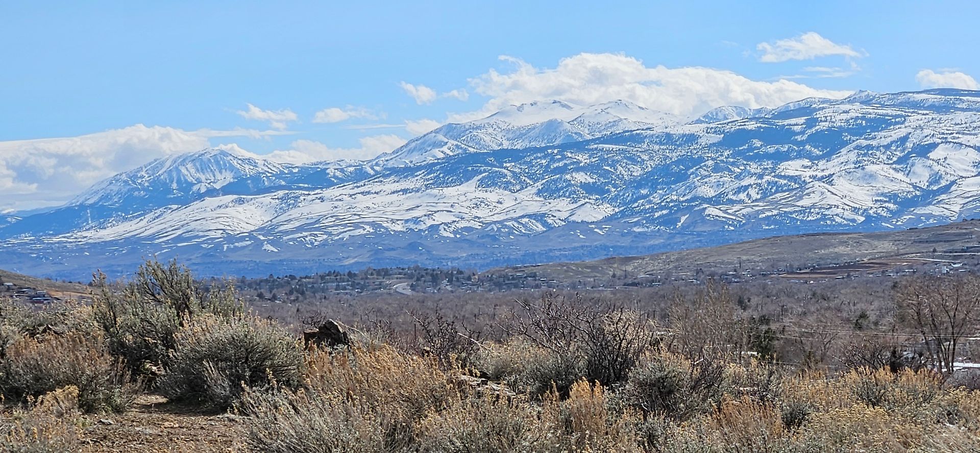 Home | Western Nevada Management | Reno, NV
