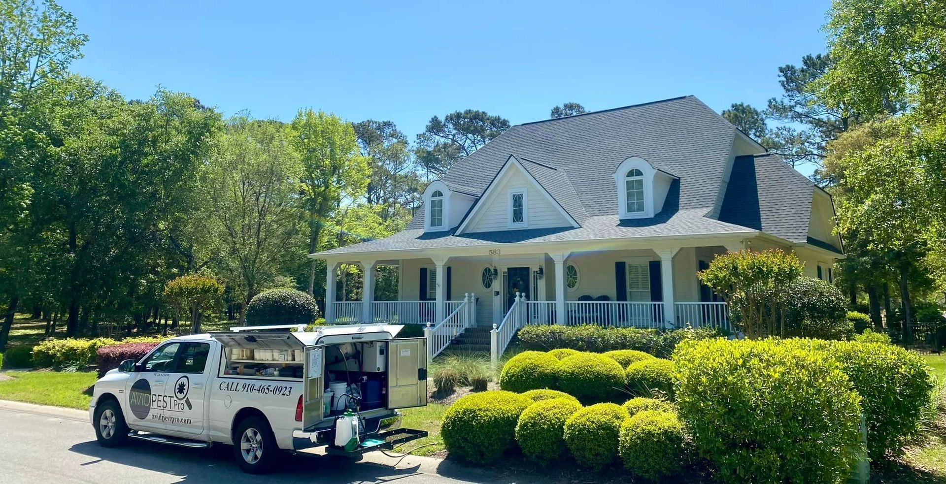 Avid Pest Pro: Expert Pest Control Services