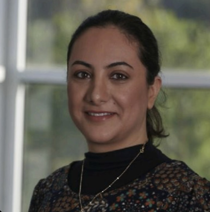 A Peace Corner - Dr Maryam Delavari
