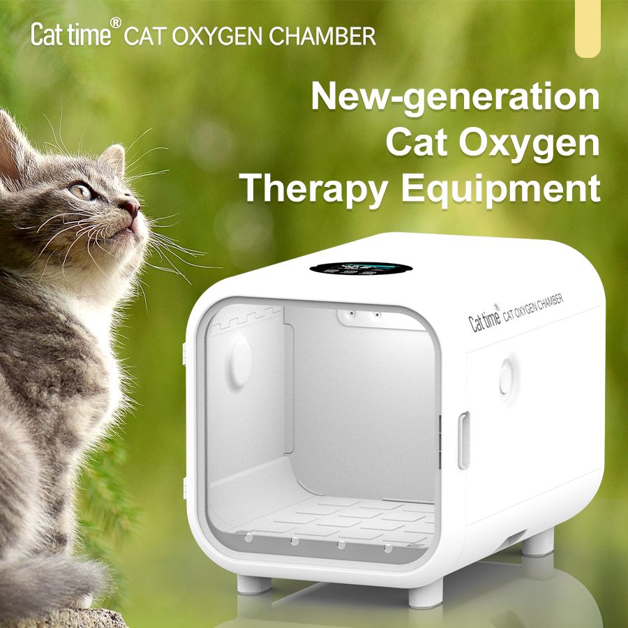 Hyperbaric Oxygen Therapy | Oxypets