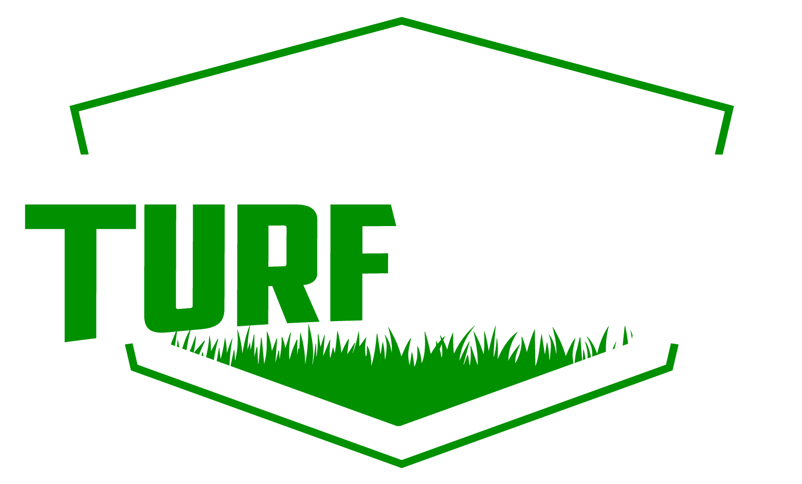 Tampa Turf Guys - Synthetic Turf Installation