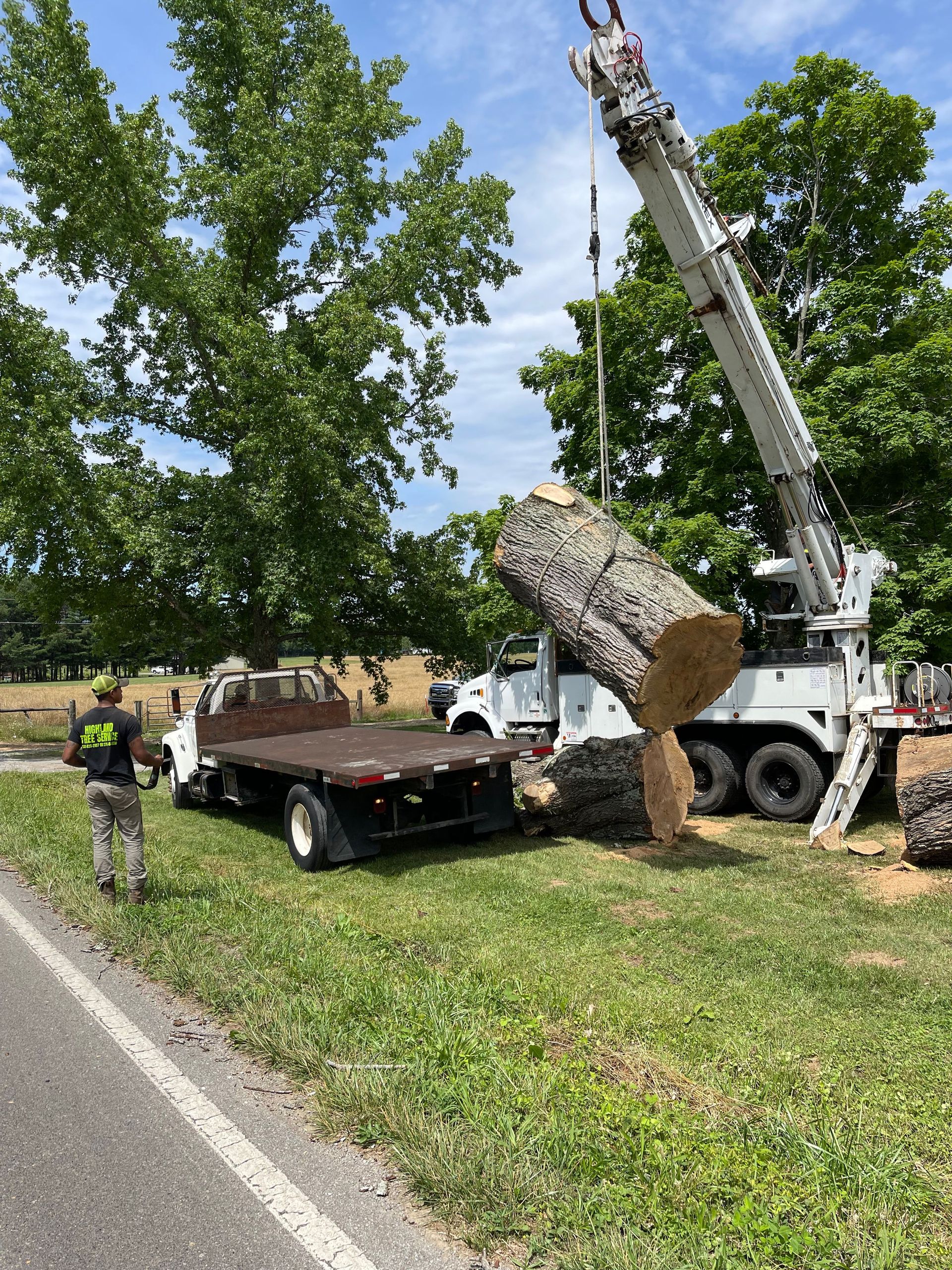 Clarksville, TN Tree Trimming Service | Highland Tree Service