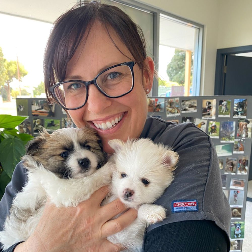 Our Team | Riverport Veterinary Hospital and Victor Central Vets