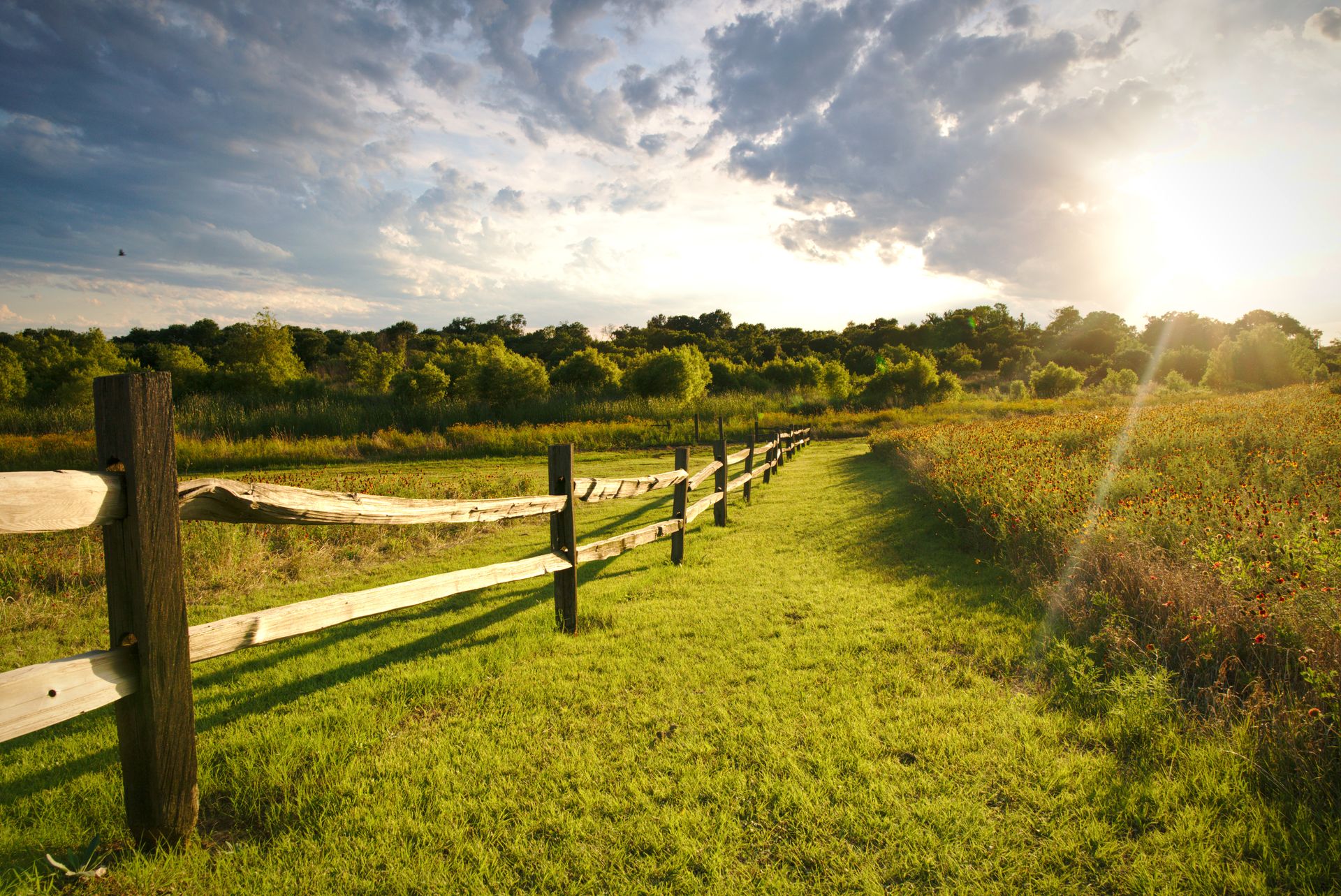 What Are Some Benefits of Living in a Nature Preserve?
