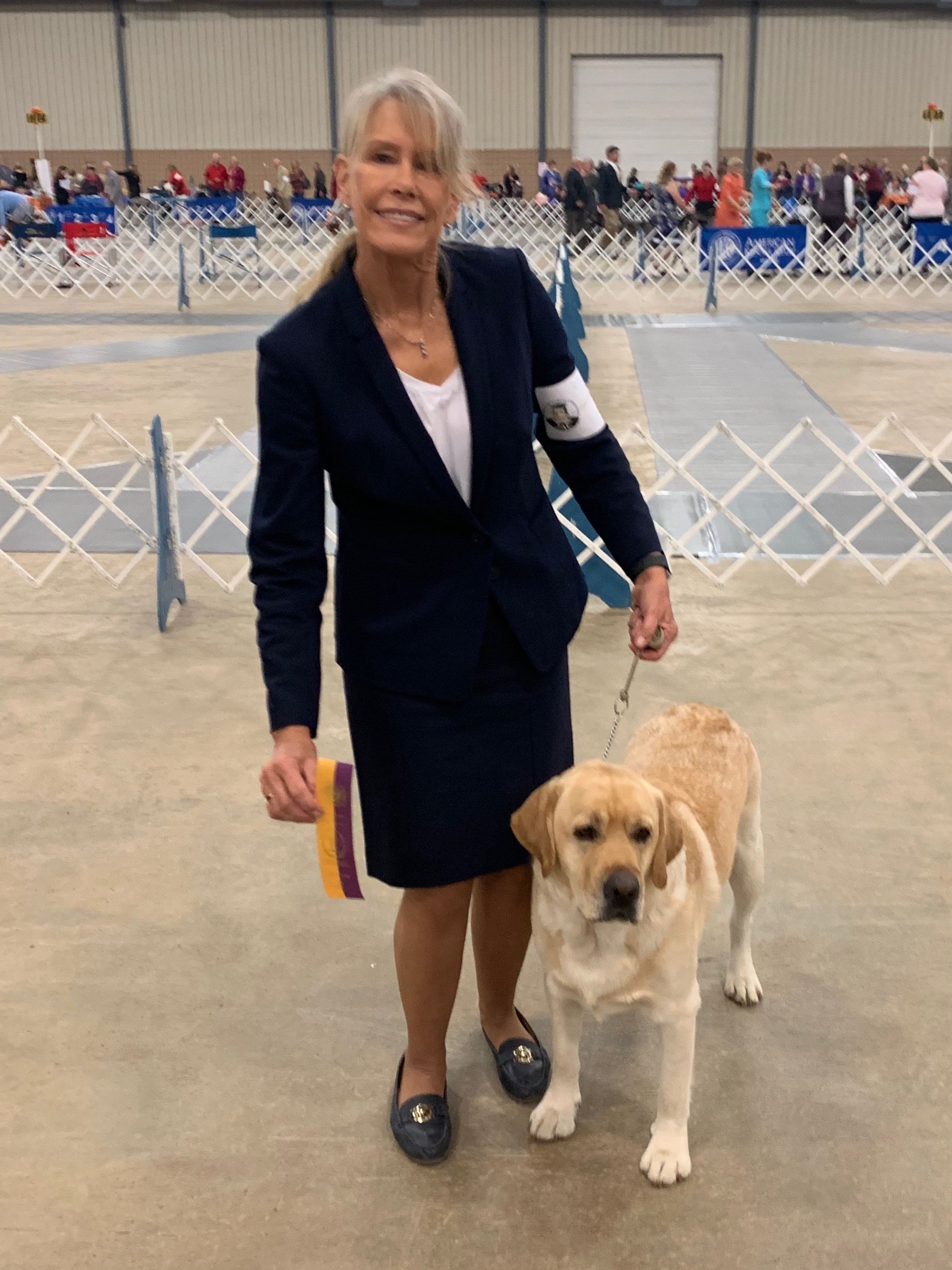 Talented Labradors of Diamond View Labradors