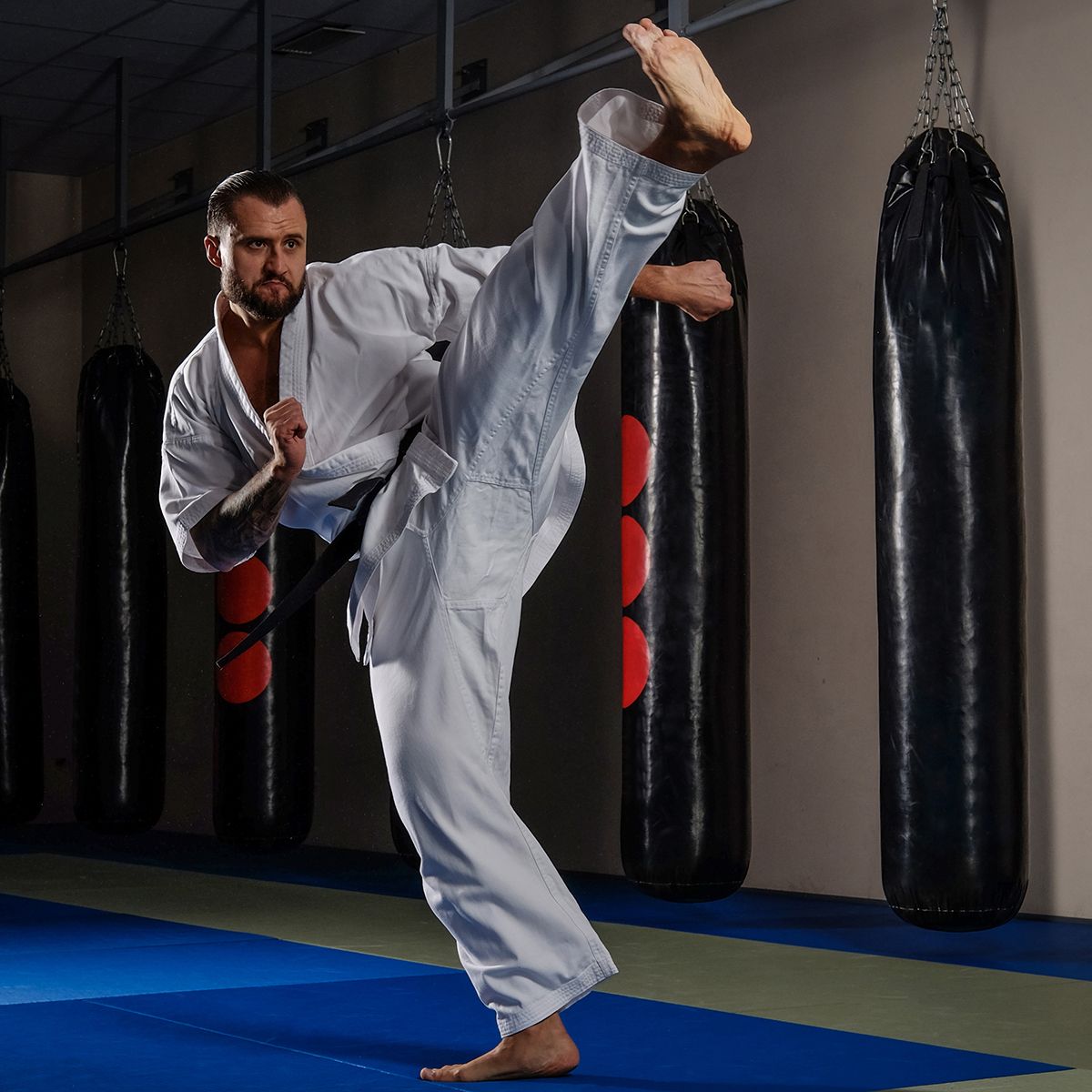 Adult Martial Arts | Global Martial Arts Academy