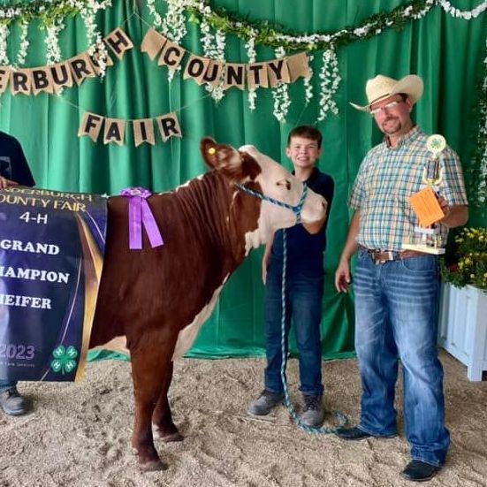 Vanderburgh County Fair | Fun For Everyone