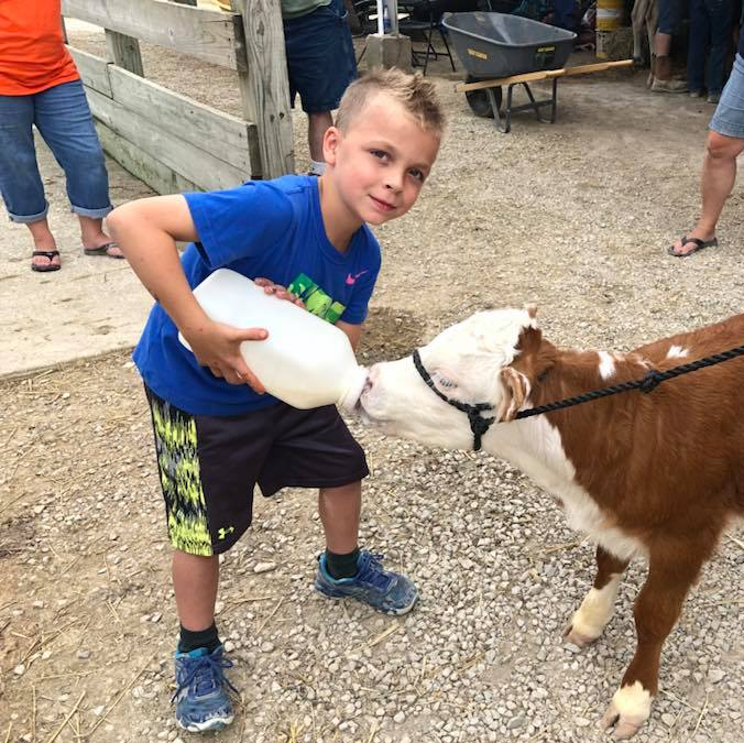 Vanderburgh County Fair | Fun For Everyone