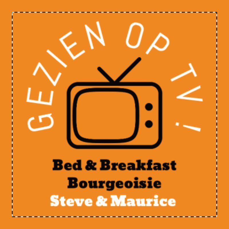 Chateau Bourgeoisie Kasteel Frankrijk Bed en Breakfast Hotel