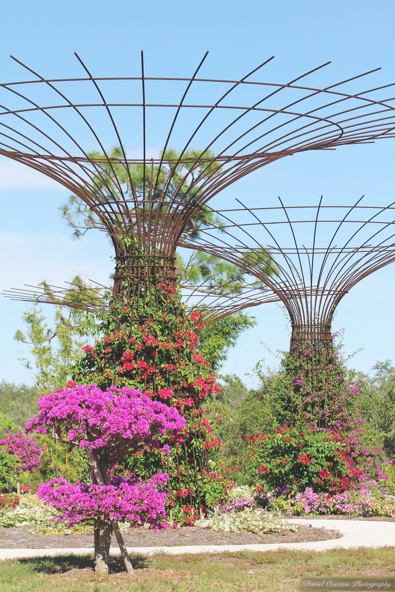 Sculptures | Peace River Botanical & Sculpture Gardens