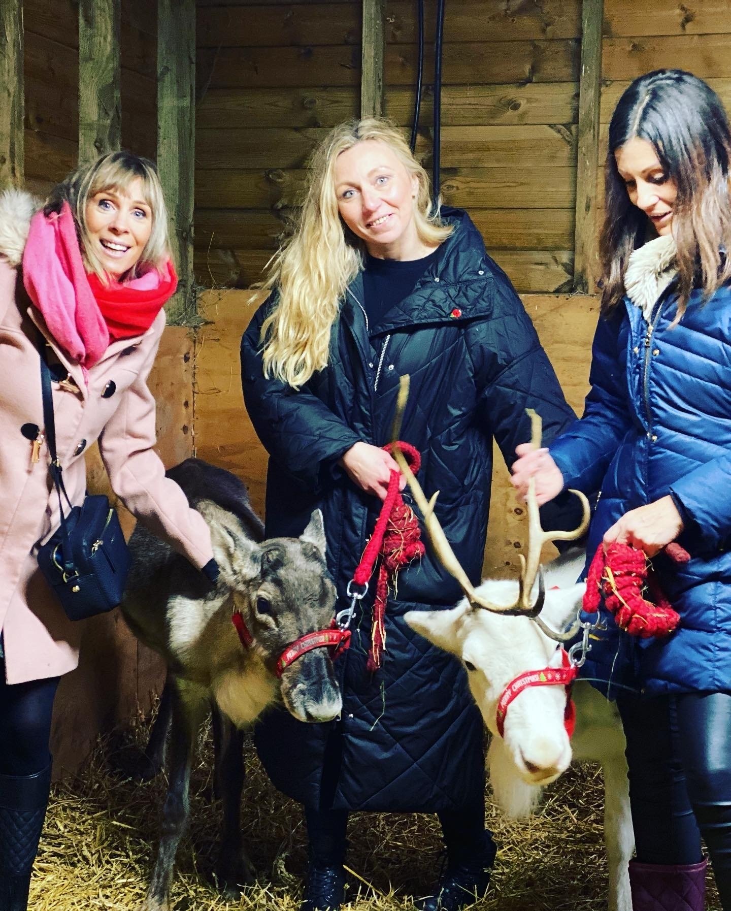 Santa’s Grotto & Reindeer Paddock at Nathan's Farm in Chalfont St. Giles